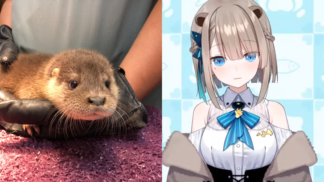 #264065 - safe, artist:aouma, animal humanoid, fictional species ...