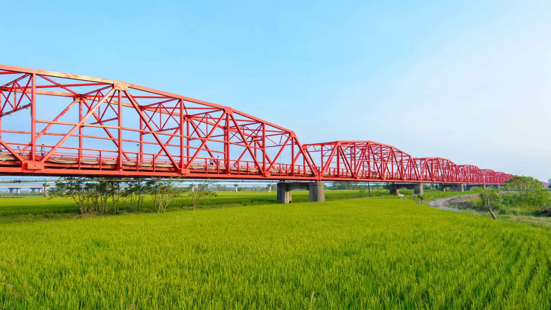 #85580 - safe, artist:foxy1219, oc, oc:yunlin, big cat, feline, mammal ...